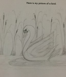 The Story Behind Draw a Bird Day | The Cheshire Library Blog