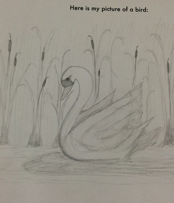 The Story Behind Draw a Bird Day | The Cheshire Library Blog