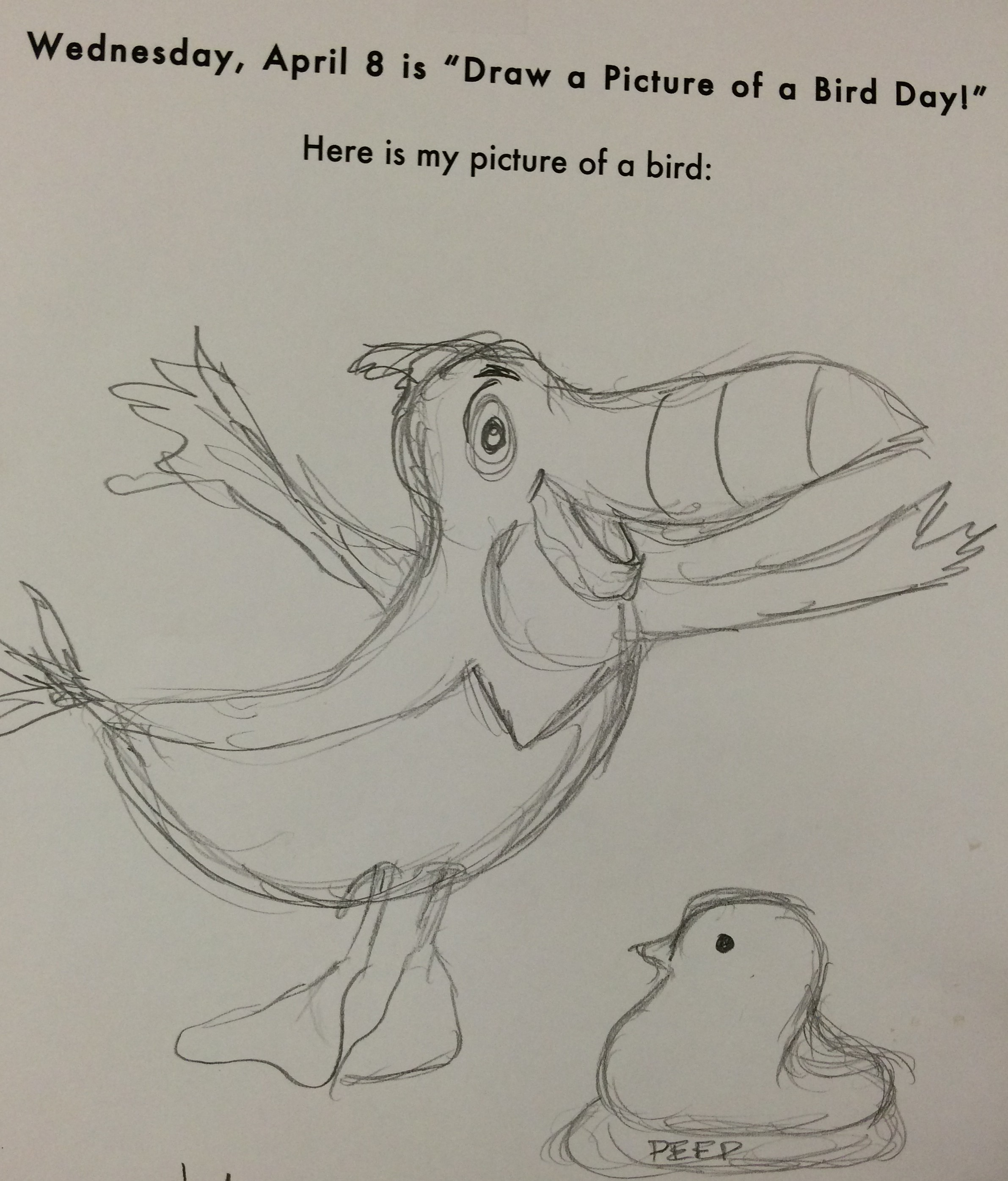 The Story Behind Draw a Bird Day | The Cheshire Library Blog